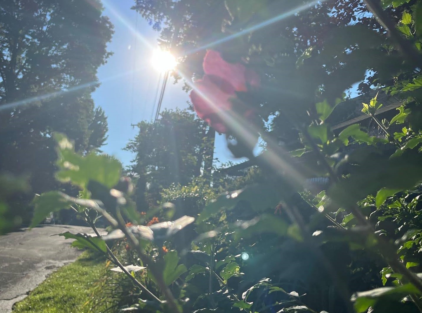 The Benefits of Getting Outside – Atlas Great Outdoors